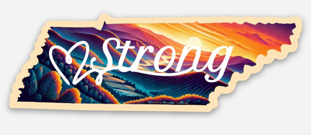 Hurricane Helene State strong stickers— 100% donated to support SLPs a ...